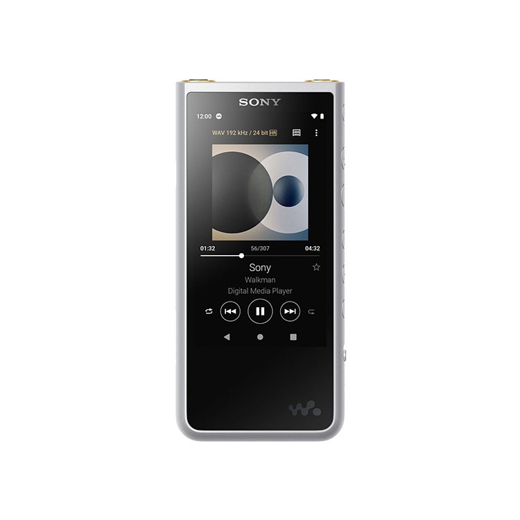 Sony ZX500 Walkman – DigitalRev Store